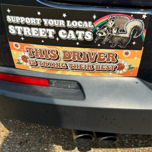 Car Sticker Funny, Driving Sticker, Car Vehicle Decor, Drivers Permit ...
