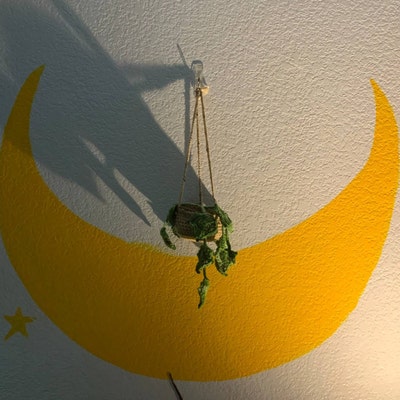 Crochet Spider Plant - Etsy