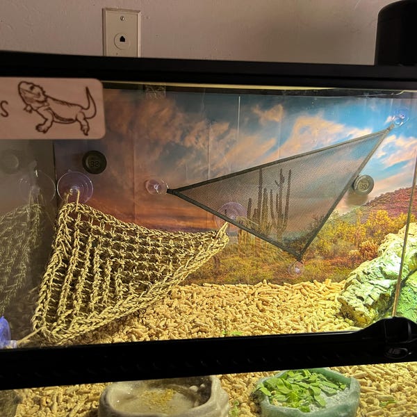 Bearded Dragon Tank Decor, Bearded Dragon Tank Accessories, Bearded ...