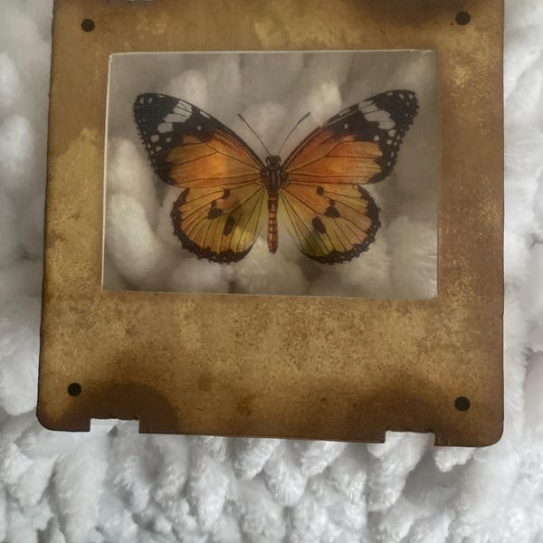 Huge Specimen Slide Kit, Entomology and Botanical Digital Kit, Specimen ...