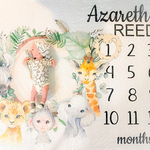 Butterfly Milestone Cards Baby Milestone Butterfly Discs | Etsy