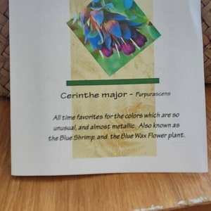 Cherokee, North Georgia Candy Roaster Squash . Cucurbita Maxima - Etsy