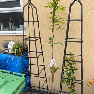 Rose Plant Support Plant Stake Traditional Gardening garden Supports ...