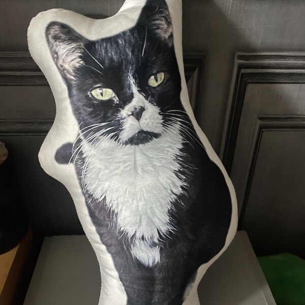 Custom Cat-shaped Throw Pillow, Personalized Cat Cushion, Custom Pet ...