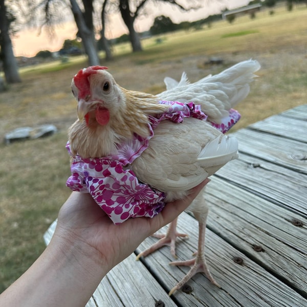 Small Stylish Chicken Diaper- Perfect for Small Bantams - Etsy