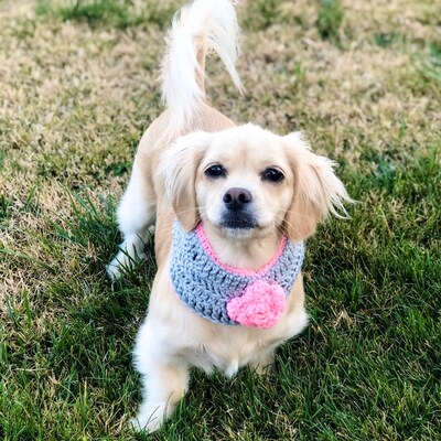 SPEAK NOW Eras Tour Swiftie Bracelets eras Tour Album Bracelets Swiftie ...