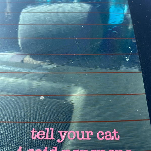 Passenger Princess Door Frame Custom Decal - Etsy