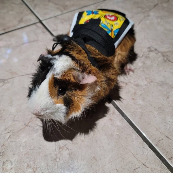 Guinea Pig Diaper – Yellow Bugs Design, Adjustable Fit - Etsy