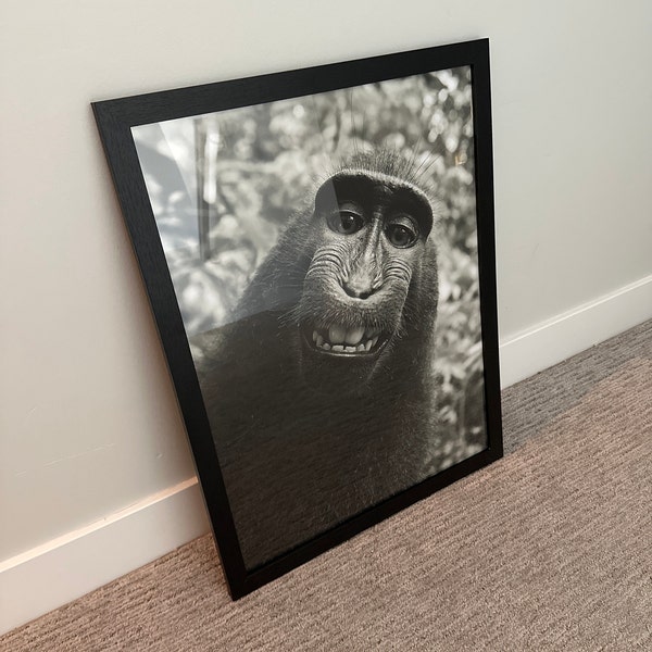 US Military Ranks Poster, United States Enlisted and Officer Insignia ...