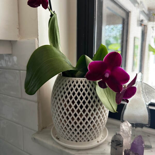 Strawberry Red Hanging Orchid Pot - Etsy