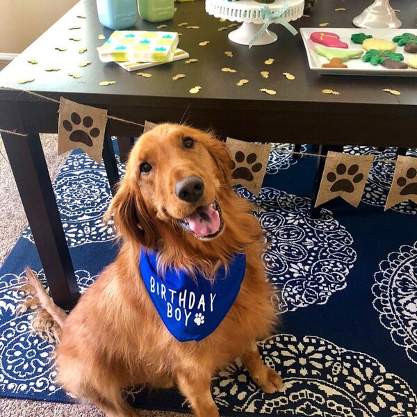 Pet Banner, Dog Banner, Pet Birthday Party Decor, Dog Birthday Party ...