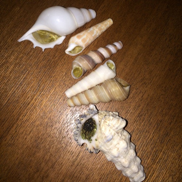 The Rockfish by Shellpipe free Pipes With Every Order Shell Pipe ...