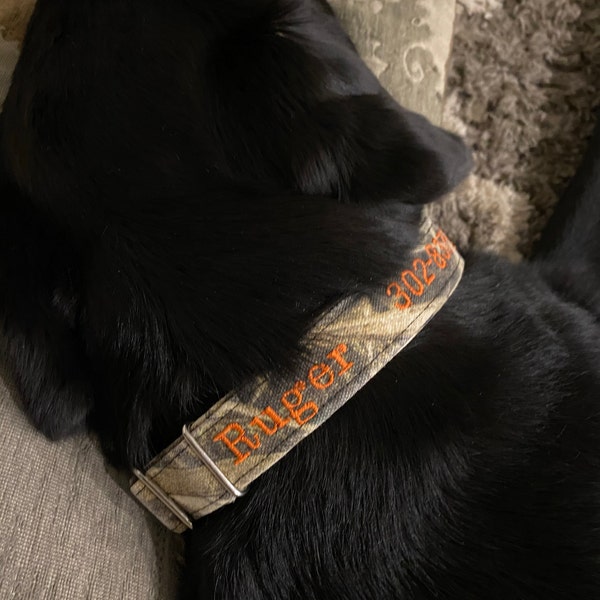 Christian Dog Collar/ Jesus is My Savior/ My Messiah/ Religous Family ...