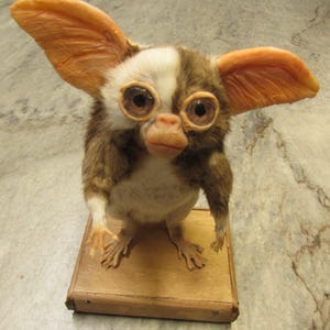 Taxidermy Cute Rat Mogwai Taxidermy Rat Cabinet of Curiosities ...