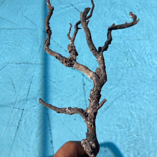 9.5cms MINERS LAMP VICTOR 1920 Carbide Usa Vintage Lantern Brass Bronze ...