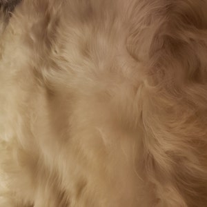 Exclusive Genuine Unique WOVEN Lamb Sheepskin Lambskin Rug - Etsy