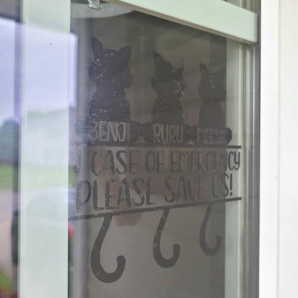 Cat Definition Wood Sign, Stained Wood Cat Sign, Cat Themed Decorations ...