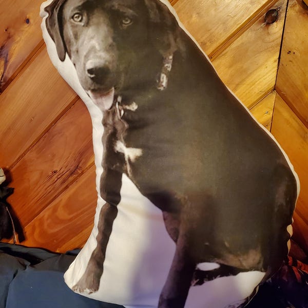 Personalized Human Shape Pillow, Custom Family Pillow, Love Pillow ...