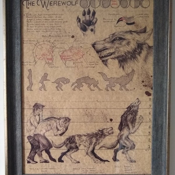 Large - Werewolf - European Folklore Art Print - Etsy