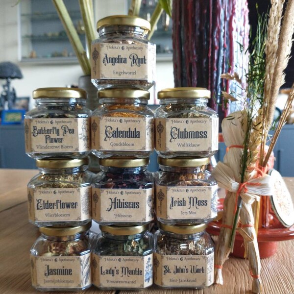 Crow - CORVUS - Kraai , LUXURY Mini Dome - Heketa - Etsy