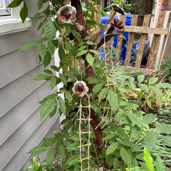 30 Cm Rope Ladder for a Fairy House or Garden With Moss. Made From ...