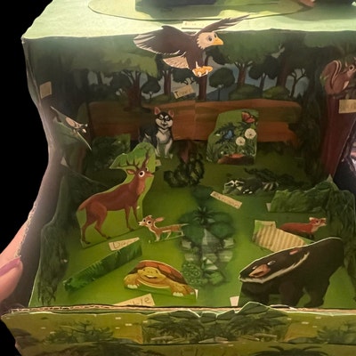 Printable Shoebox Diorama Kit. Create a Forest Habitat. Paper Craft for ...