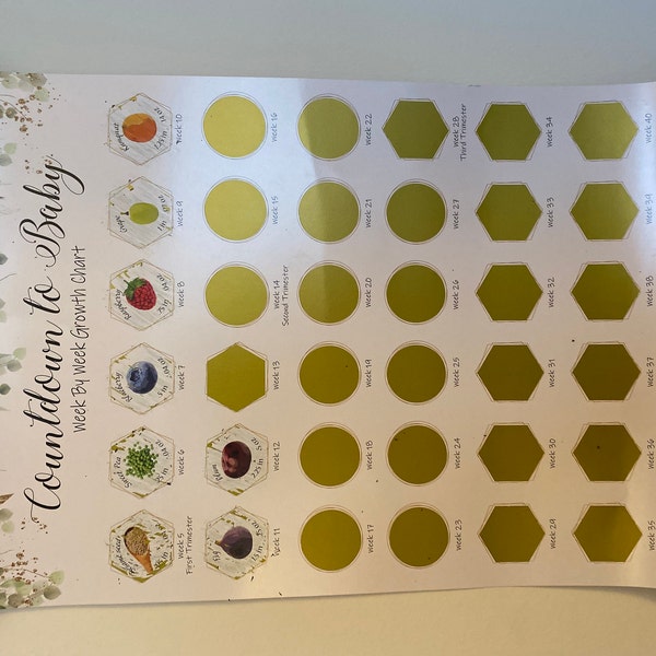 Scratch off Pregnancy Countdown Chart: Baby Growth Tracker, Expectant ...