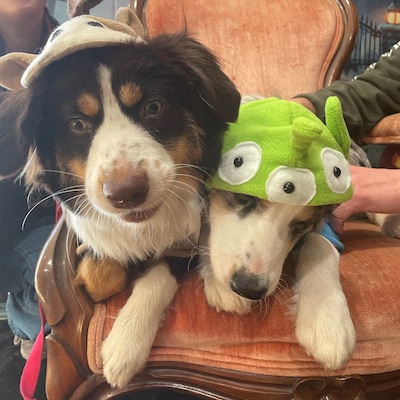Alien Dog Costume, Toy Story Alien Dog Outfit, Halloween Dog Outfit ...