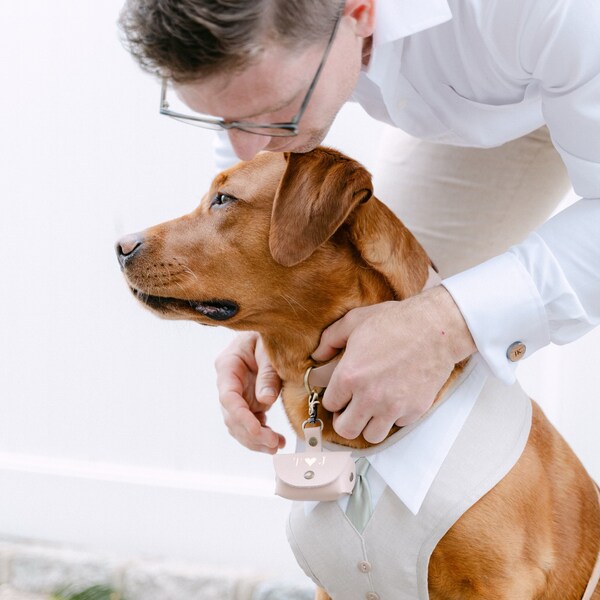 Large Formal Dog Tuxedo , Dog Wedding Harness, Dog Ring Bearer Harness ...