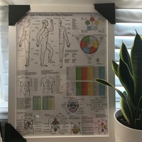 Shiatsu Chart of Acupuncture Meridians and Hara Diagnosis - Etsy Australia