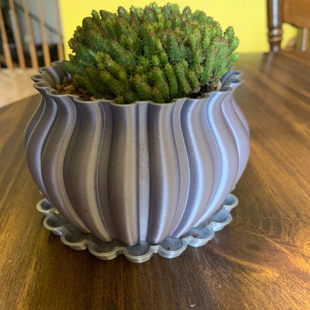 3D Printed Art for Plants by 3DPrintsforPlants on Etsy