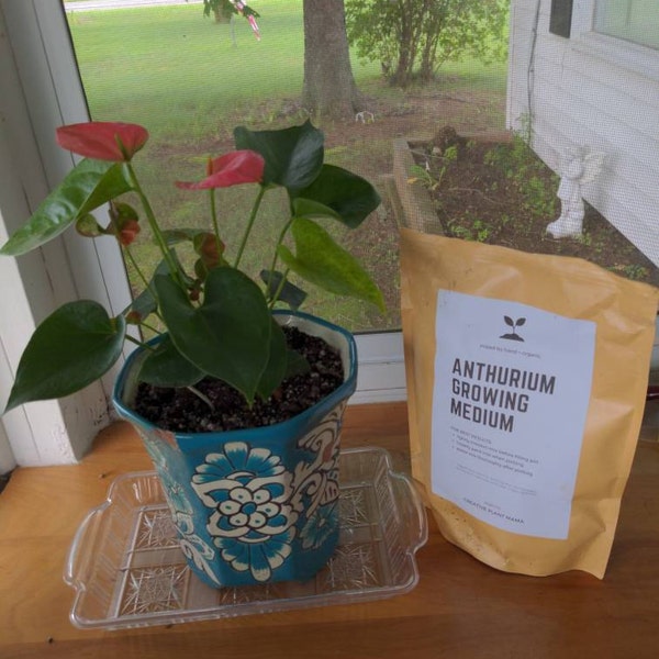 ANTHURIUM Soil Mix - Houseplant Growing Medium - 3 LB / / 2 Gallon - Etsy