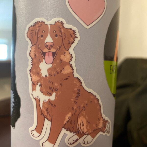 Nova Scotia Duck Tolling Retriever Stickers - Waterproof Sticker Set - Etsy