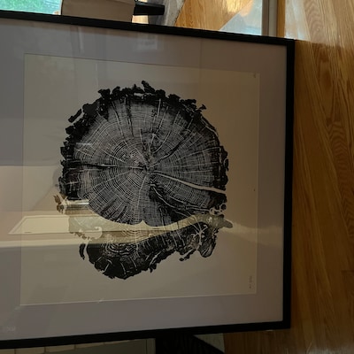 Spruce, Handprinted Art Print, Woodcut Print, Tree Stump, Tree Rings ...
