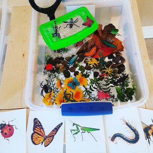INSECTS FRENCH Edition • 22 French and 22 English Editable Montessori ...
