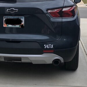 SALTY. Vinyl Decal Bumper Sticker, Set of 2 Salty Beach, Salty Bitch ...