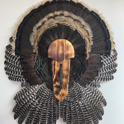 Turkey Plaque-wings and Fan - Etsy