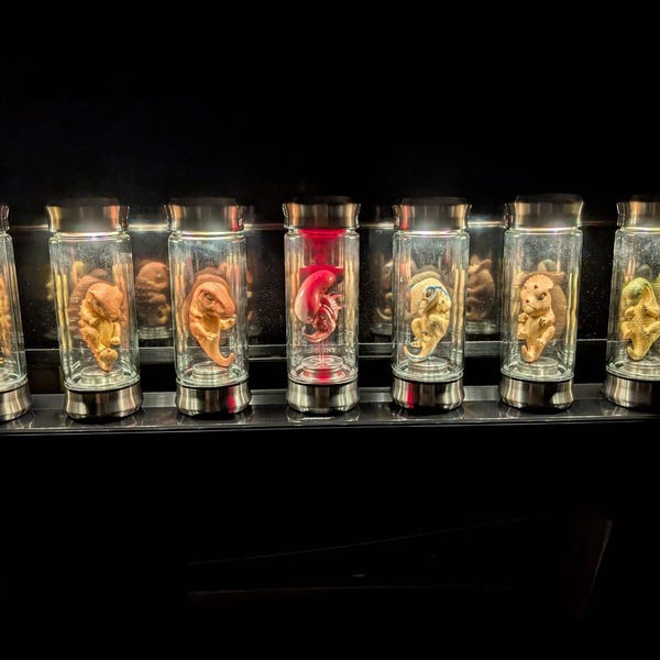 Umbrella Suitcase T Virus Vial Display Case Cosplay Resident Evil Prop ...