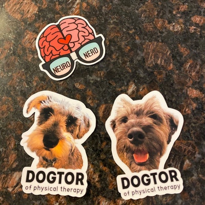 What the PEC Physical Therapist Sticker Human Anatomy - Etsy