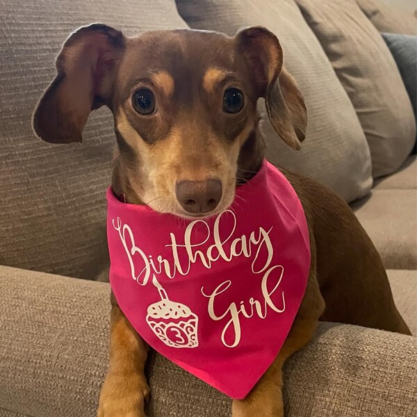 Camping Dog Bandana Camping Dog Scarf Vacation Dog Bandana Summer Dog ...