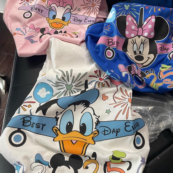 Personalized Mickey and Friends Disney Trip 2025 Shirt, WDW Disneyland Castle Family Vacation ...