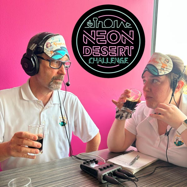 Lots of 5, 25, 100 or 200 Custom Pennants, Pennant Decor, Custom Flags ...