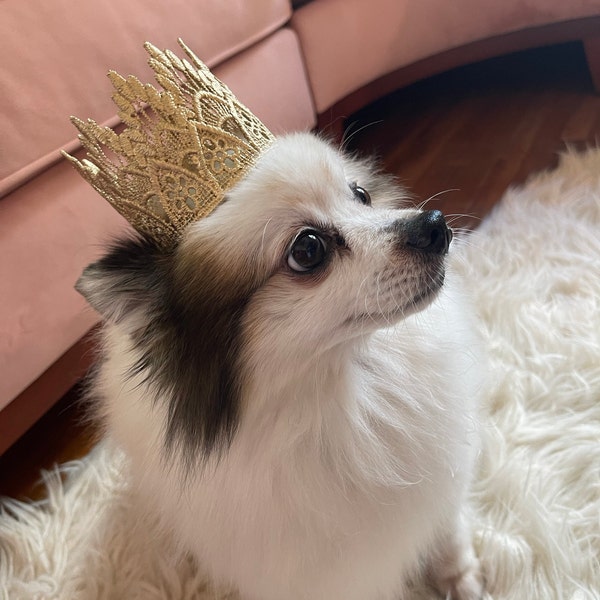Gold Dog Birthday Crown - Puppy Cake Smash Crown - Pet Birthday Crown ...