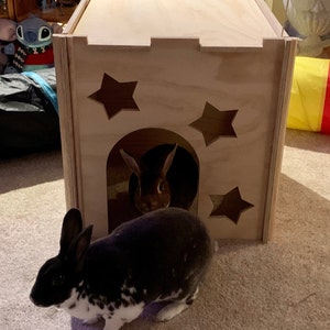 Bunny Hideaway Castle and Fort for Rabbits, Guinea Pigs and Small ...