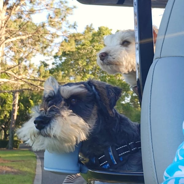 K9 Copilot® - Golf Cart Tether - Etsy