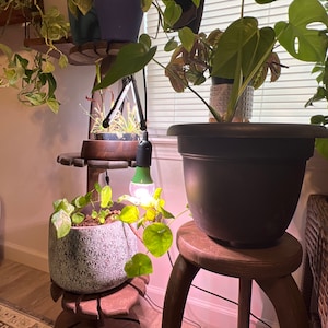 Cactus, Plant Stand, Side Table, Plant Shelf, Wood Table, Gift for ...