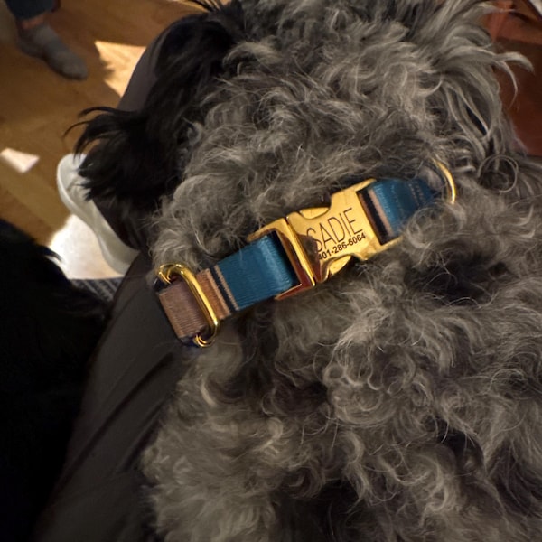 Personalized Dog Collars Boy Dog Collars, Custom Dog Collar With Name ...