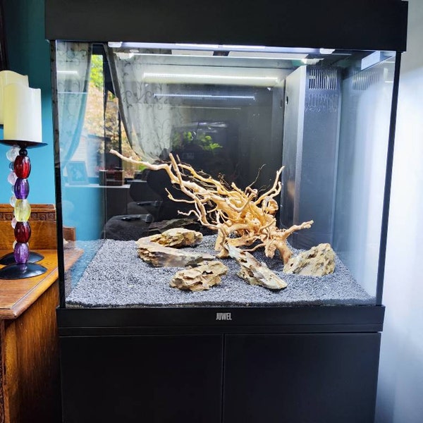 AZALEA REDMOOR ROOTS | Terrarium Supplies | Decorative Roots ...