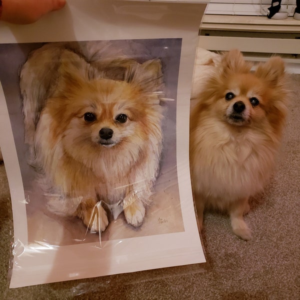 Pomeranian Art Print, Pom Art, Pom Painting, Animal Painting, Dog ...