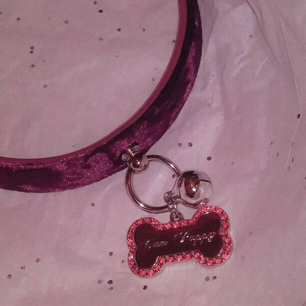 Red CZ Crystal Silver Tone Bone Tag - Personalized Diamond Engraving ...